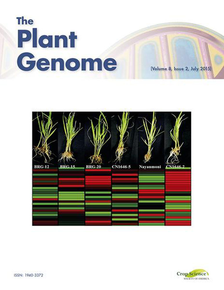Publications - Dr. Albert Kausch